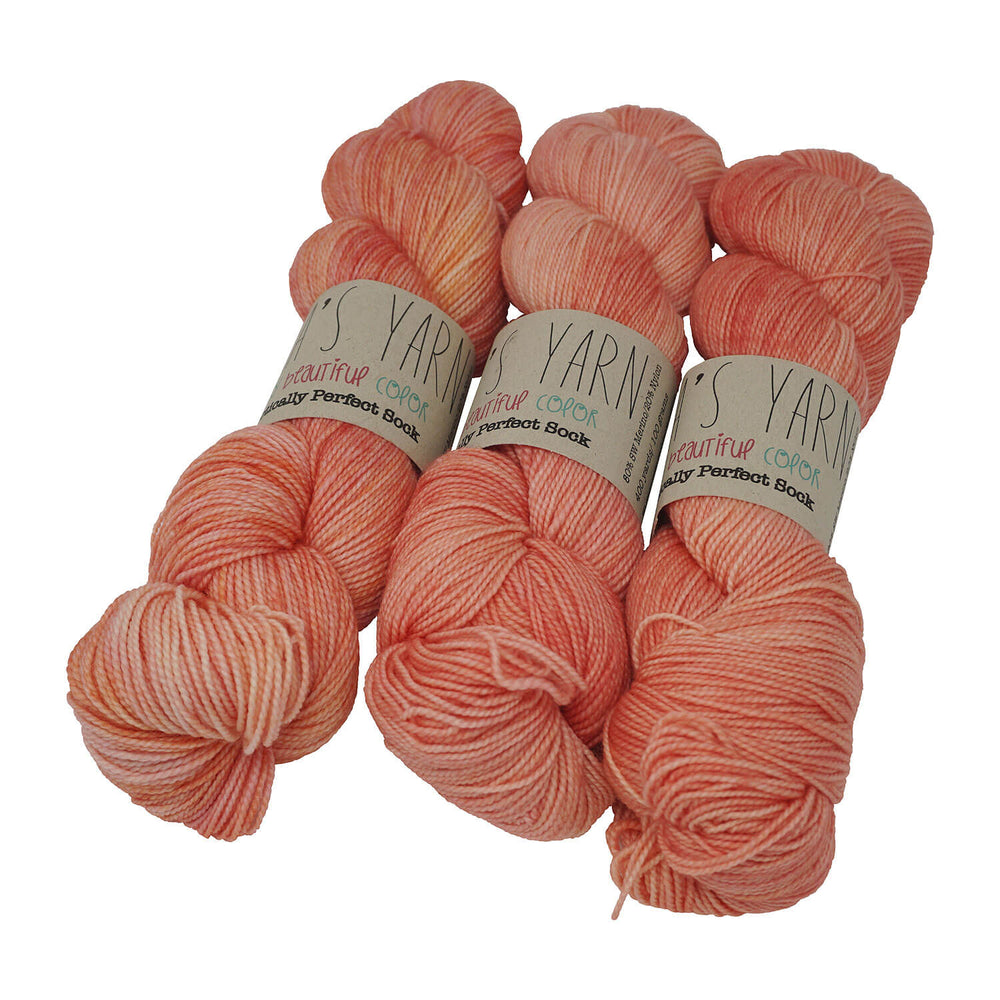 Emma's Yarn - Practically Perfect Sock Yarn - 100g - Yarn Worx